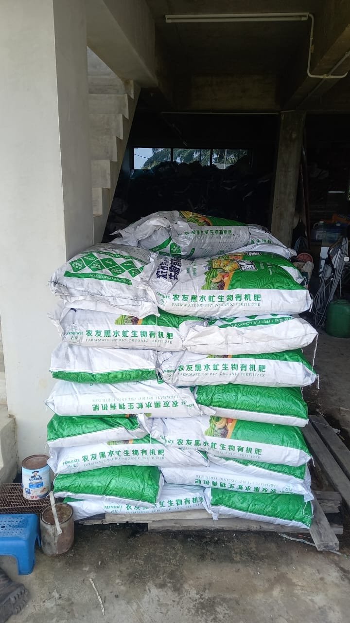 Langchang dato liew | Farmmate